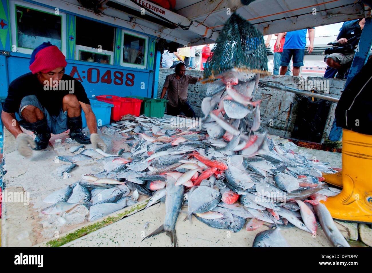 Fishermen sorting fish on their boat for sale at the fish market ...