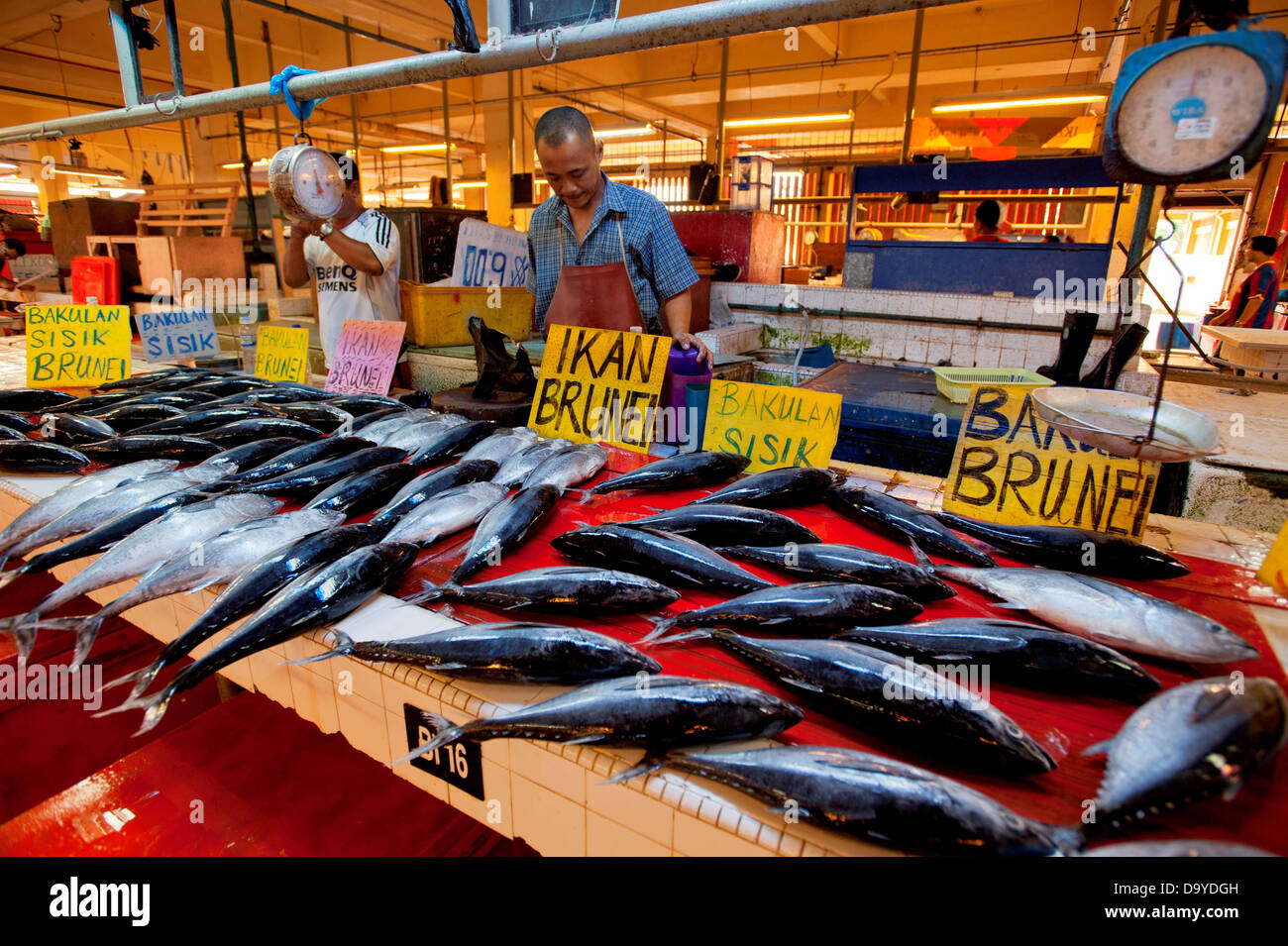 Yellowfin tuna and other large fish for sale at a market, Brunei Stock ...