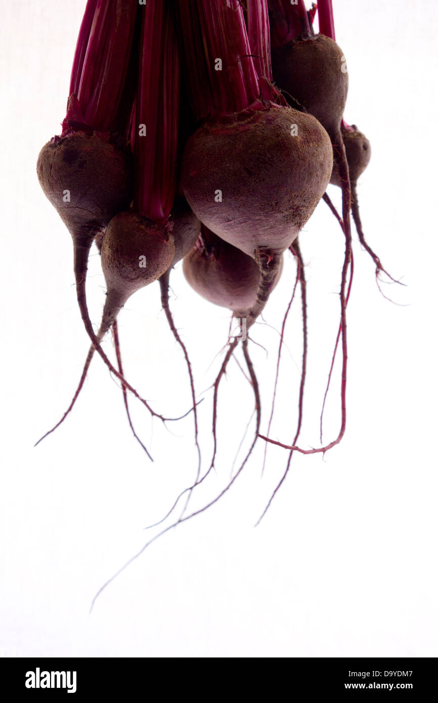 Beets with roots hi-res stock photography and images - Alamy