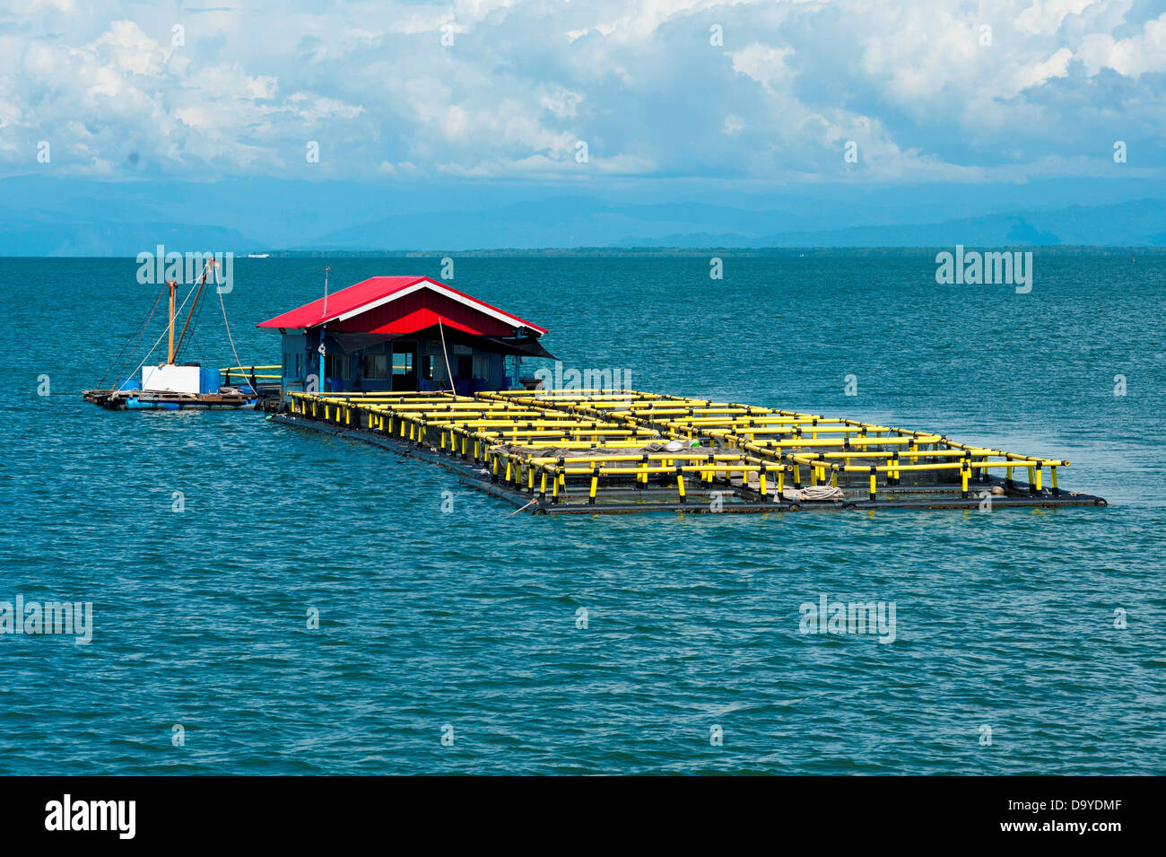 Floating nets in an Offshore cage culture where fish are bred for sale ...