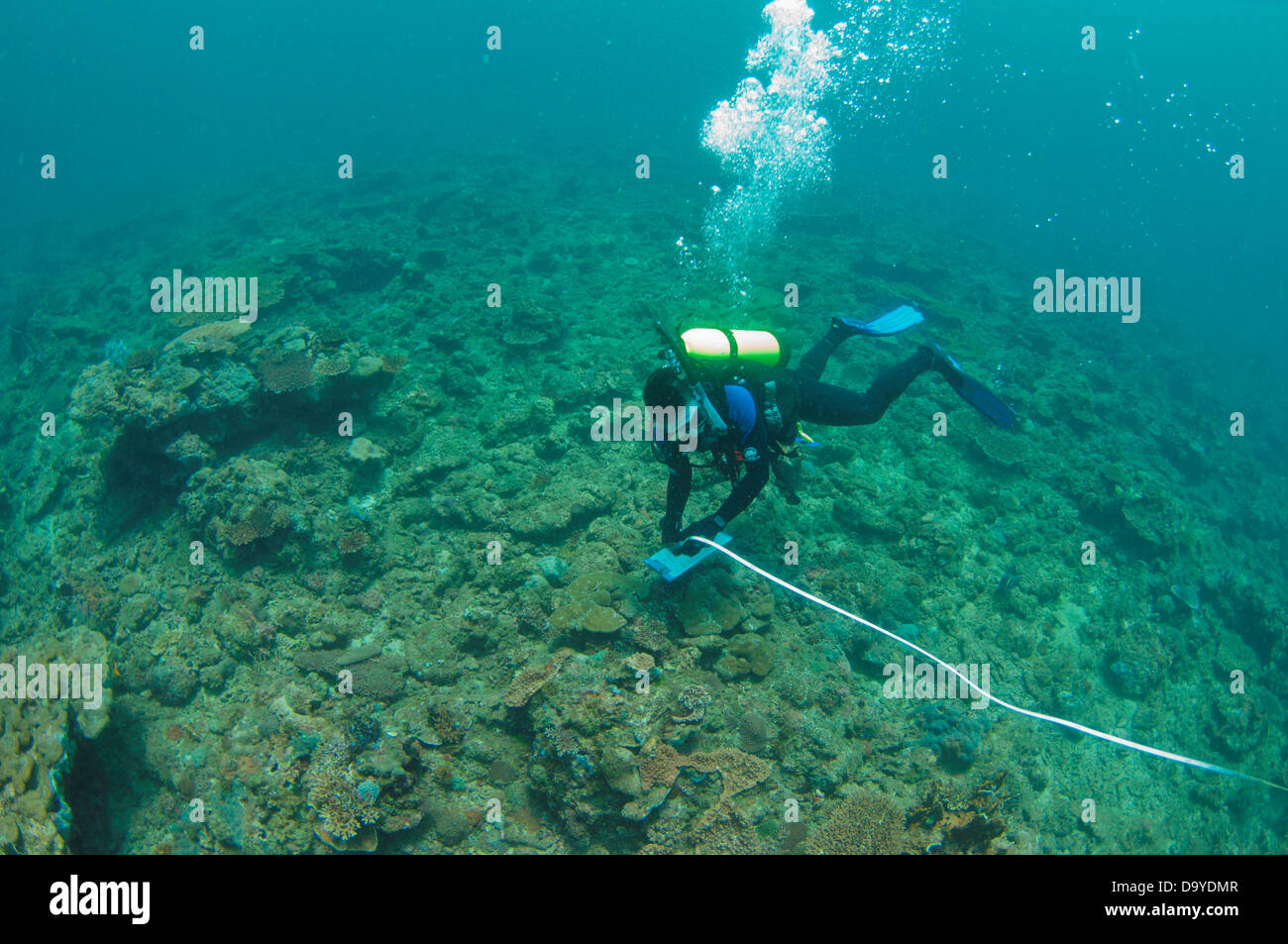 Brunei department of fisheries hi-res stock photography and images - Alamy
