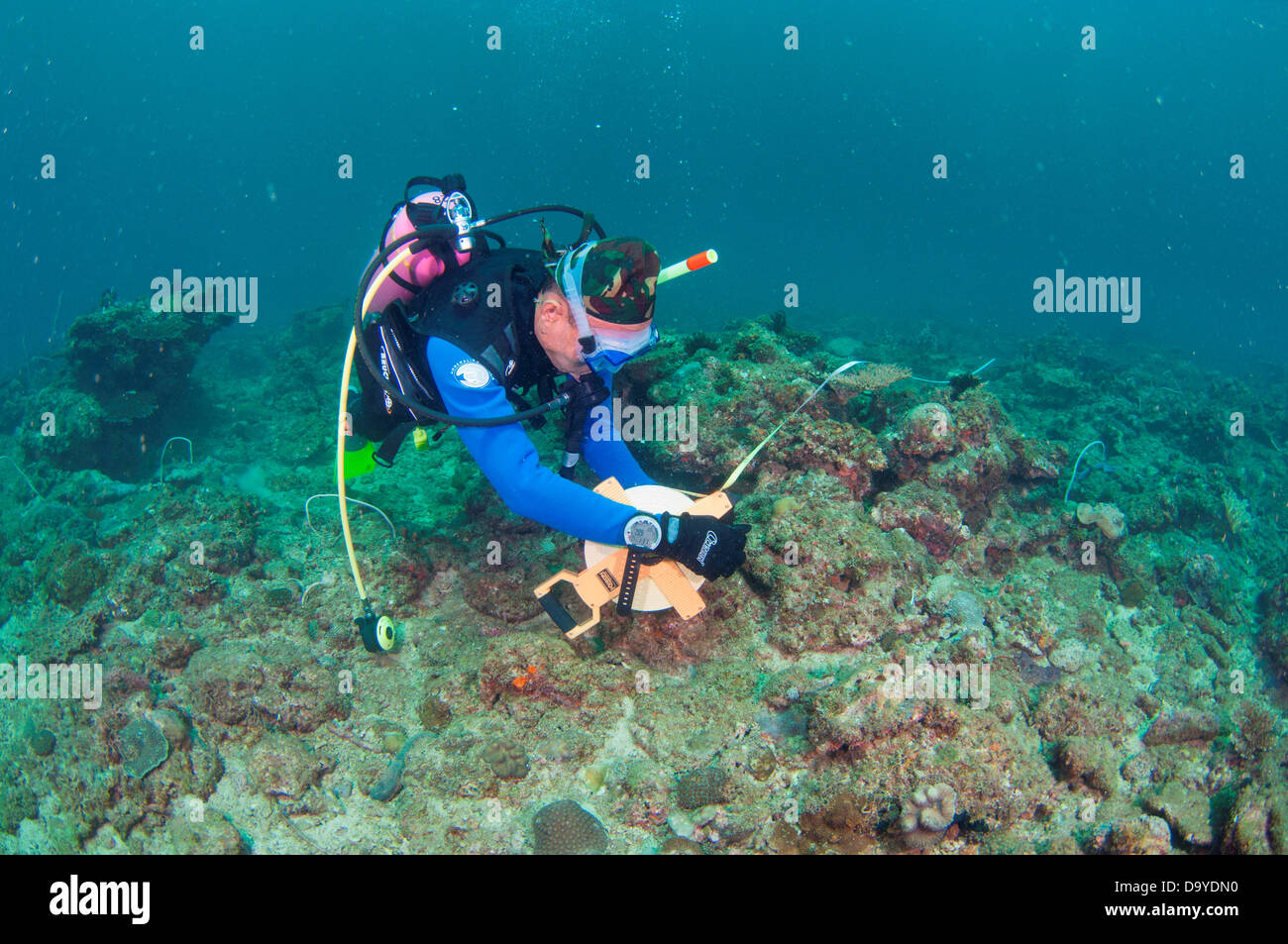 Fisheries conducting a reef management and biodiversity analysis ...
