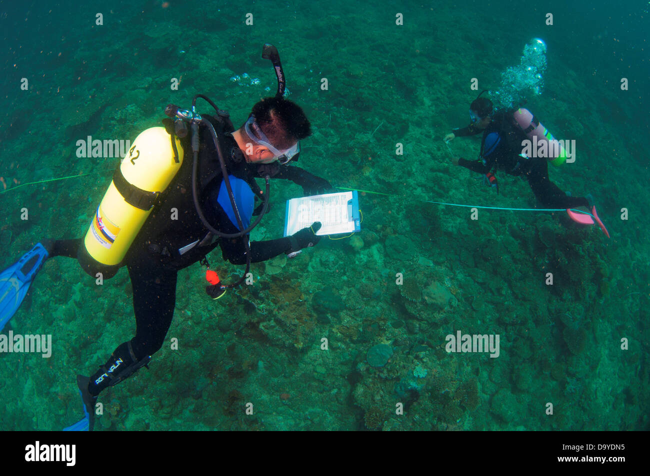 Fisheries conducting a reef management and biodiversity analysis ...