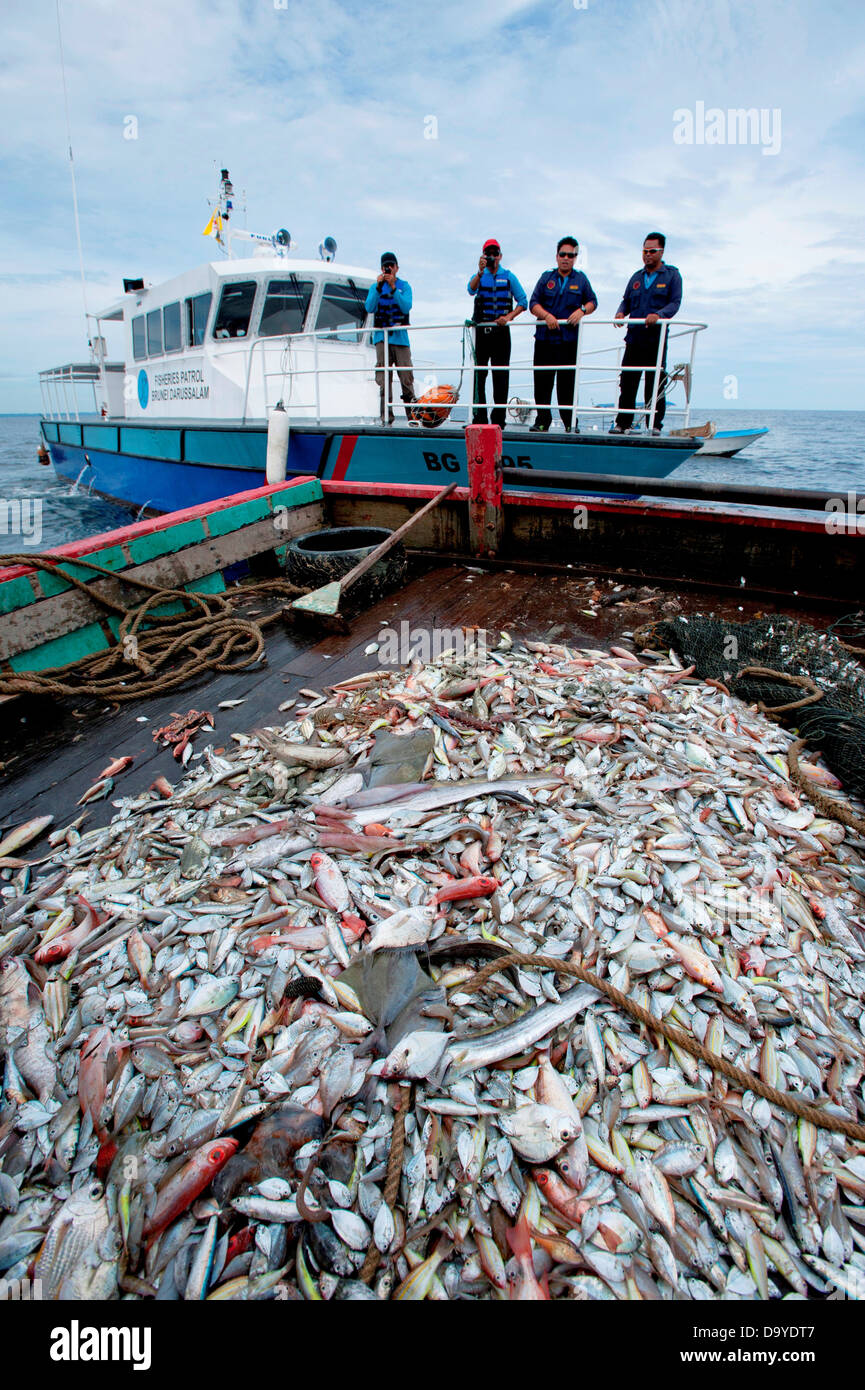 Brunei department of fisheries hi-res stock photography and images - Alamy