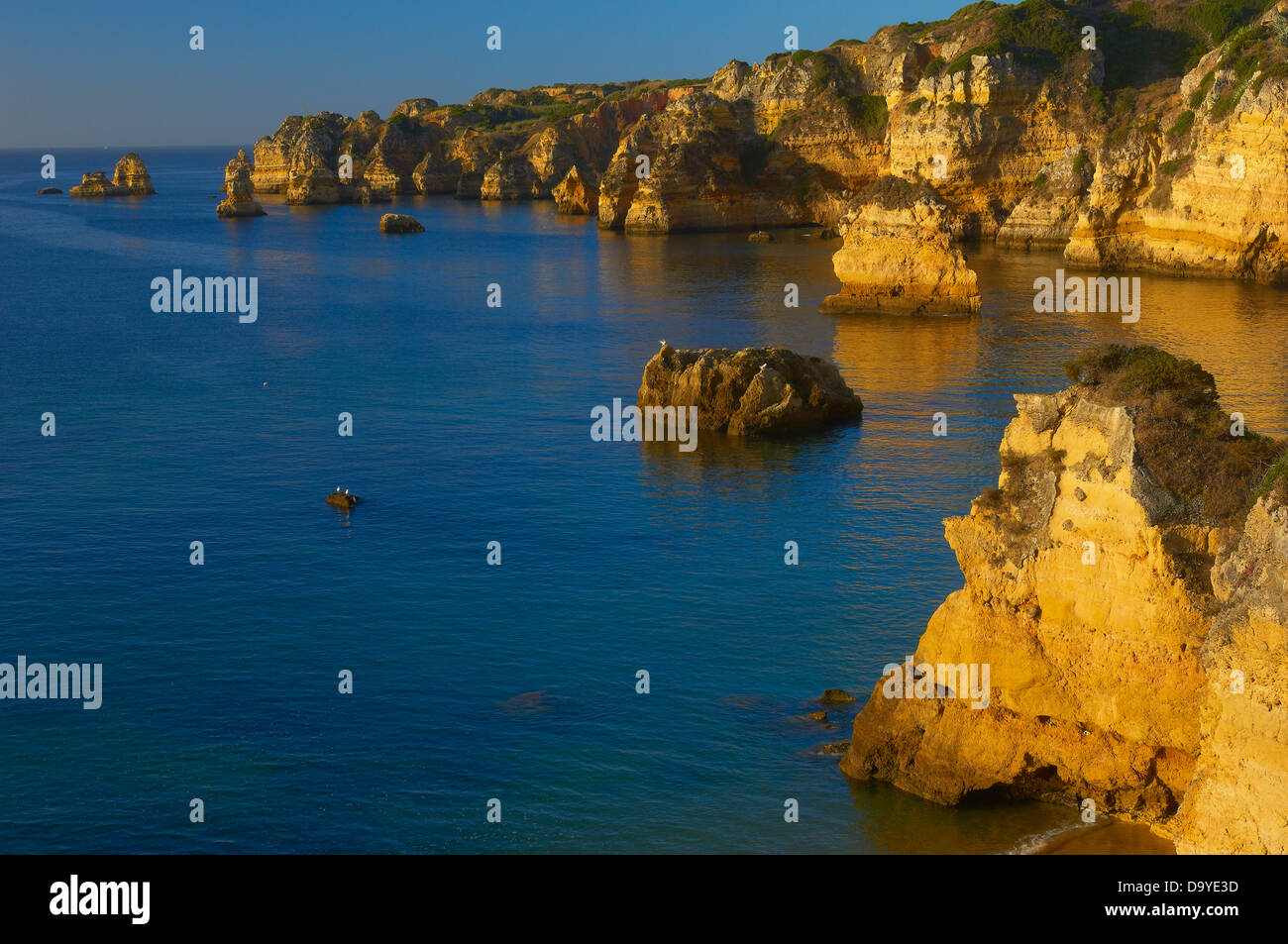 Praia Da Dona Ana Beach High Resolution Stock Photography and Images ...