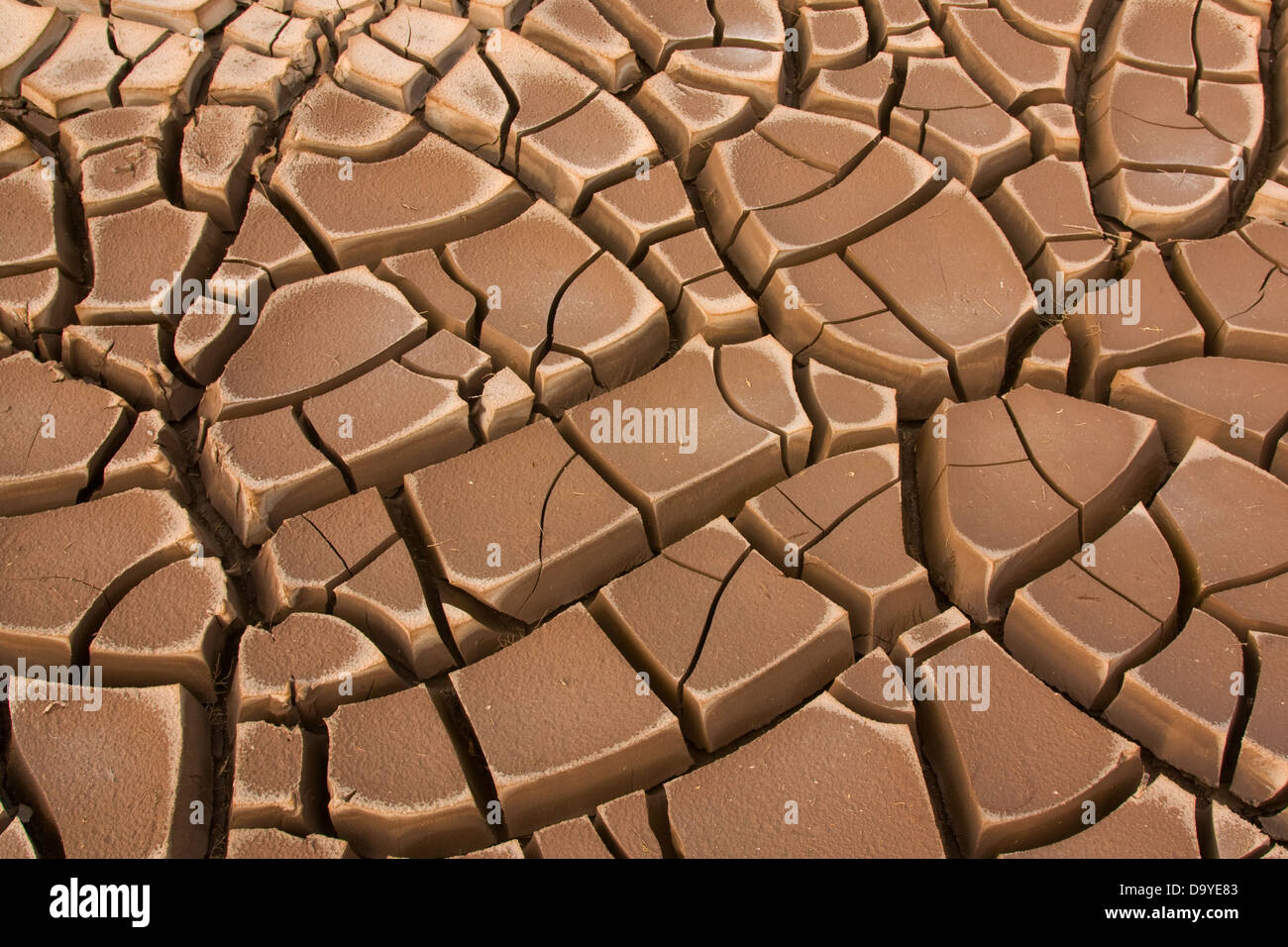 Mud crack cracks hi-res stock photography and images - Alamy