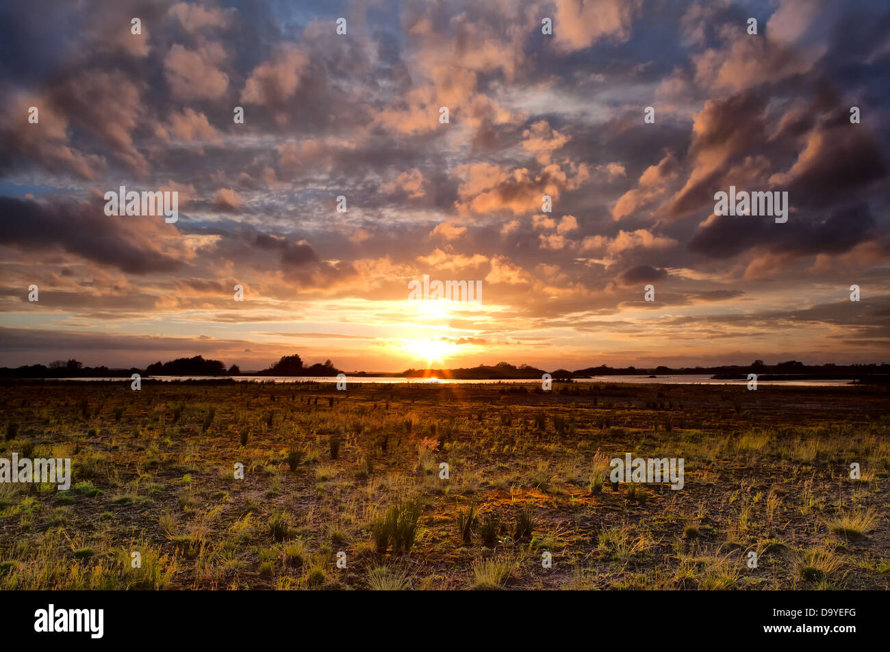 dramatic cloudscape at sunset over meadow, Groningen, Netherlands Stock Photo - Alamy
