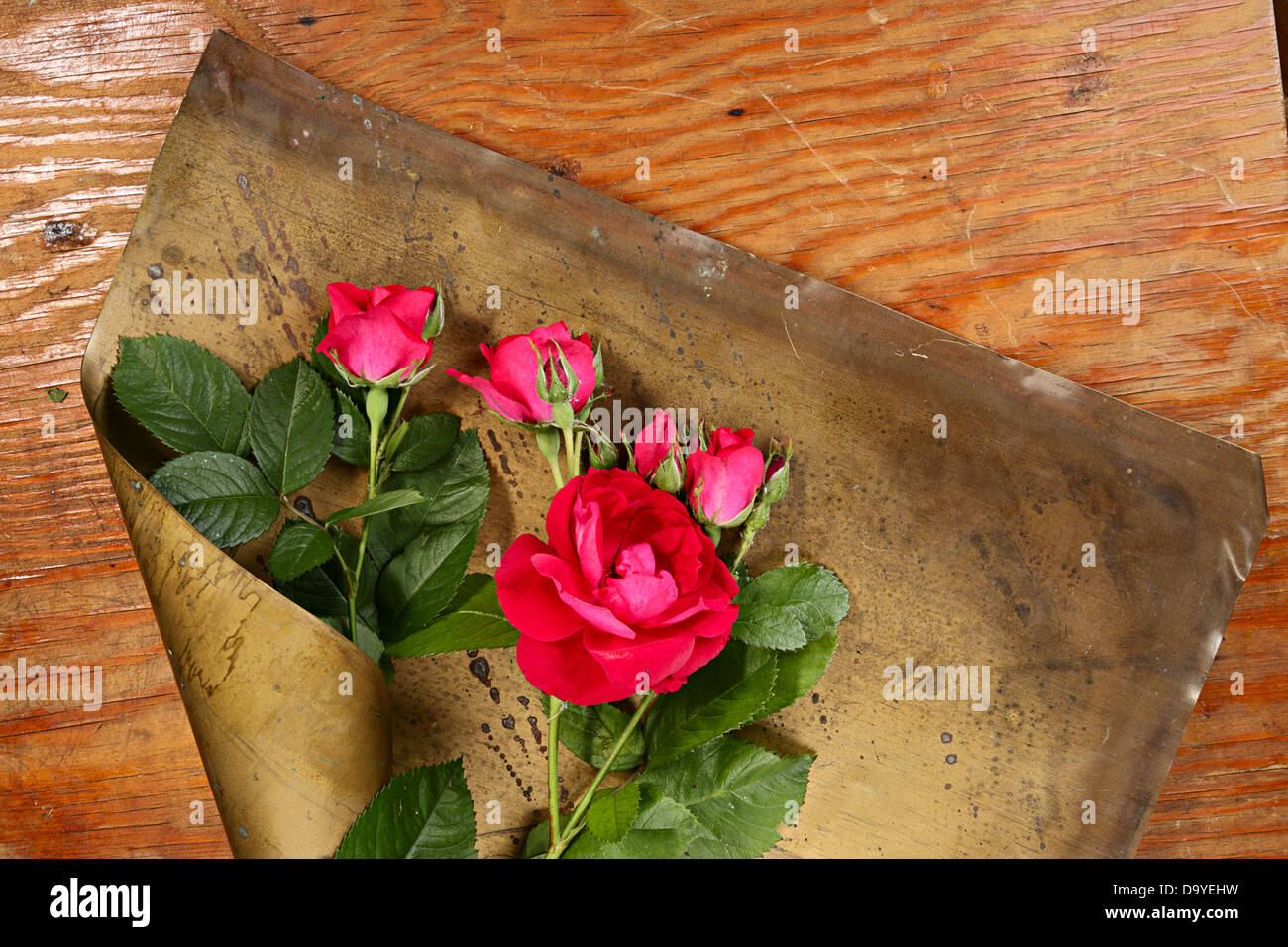 Art flower composition. Roses on brazen and wood background Stock Photo ...