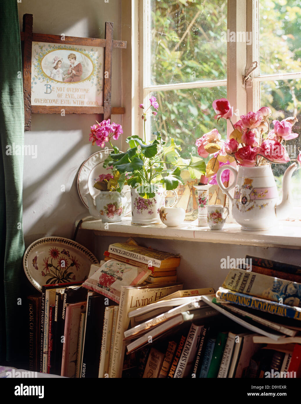 Pink flowers above window hi-res stock photography and images - Alamy