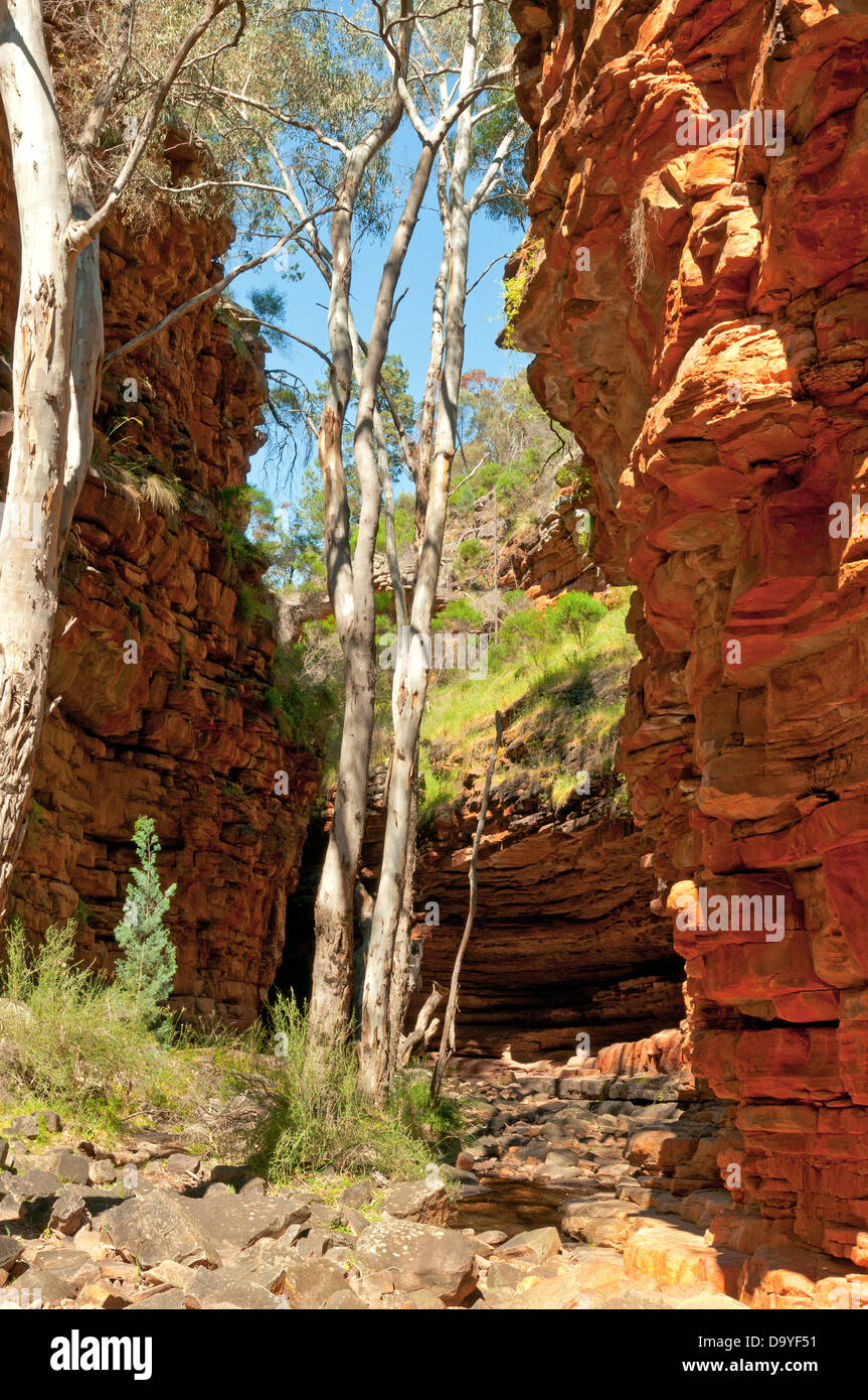 Alligator Gorge, Mt Remarkable NP, South Flinders Range Stock Photo - Alamy