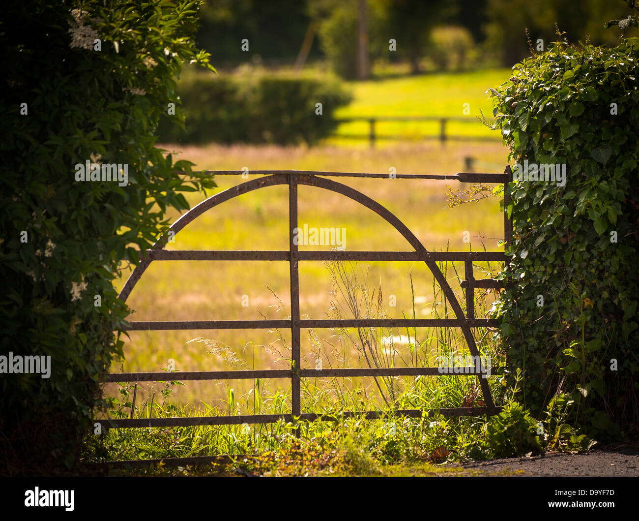 Gate into meadow Stock Photo - Alamy