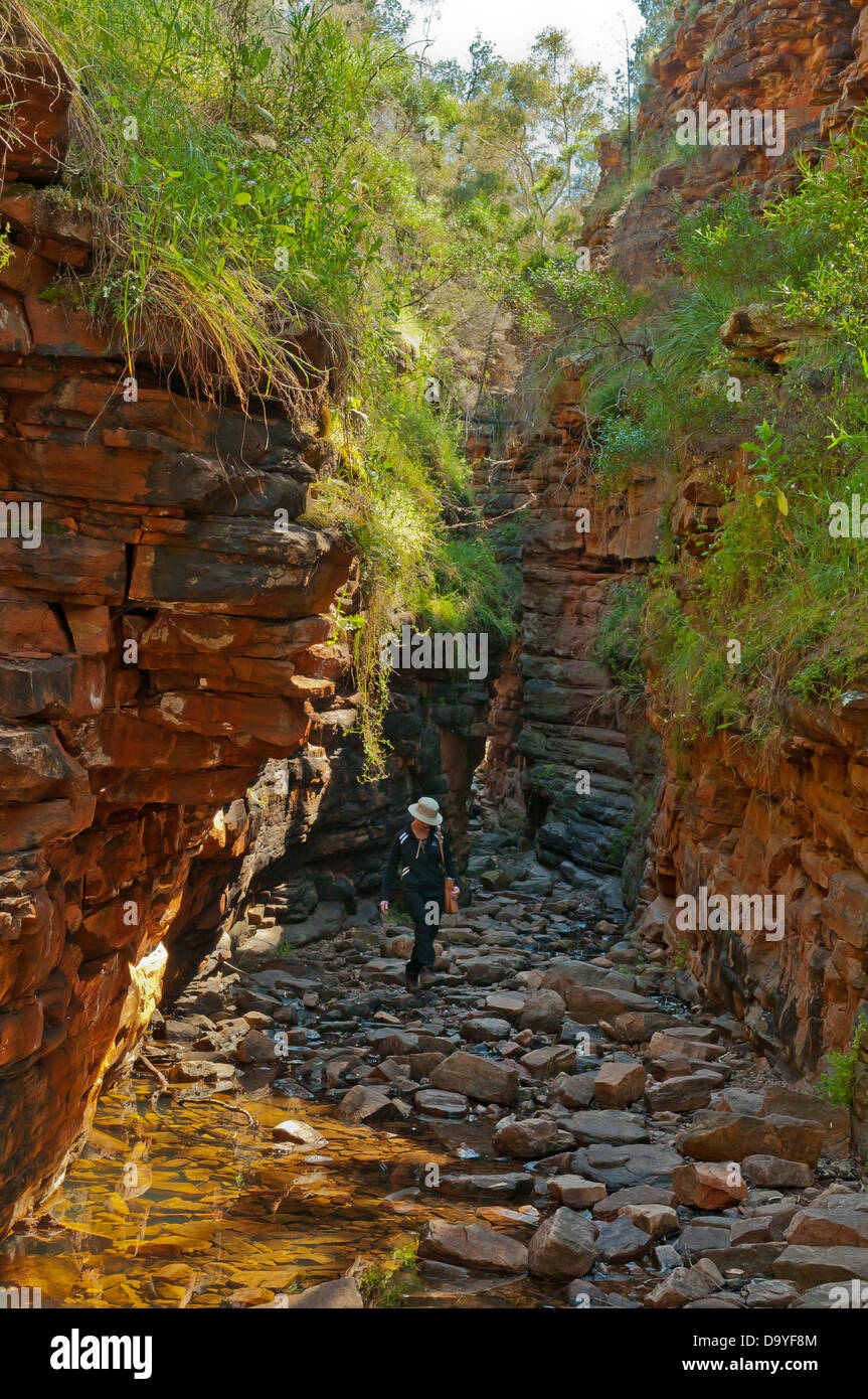 Alligator gorge south australia hi-res stock photography and images - Alamy