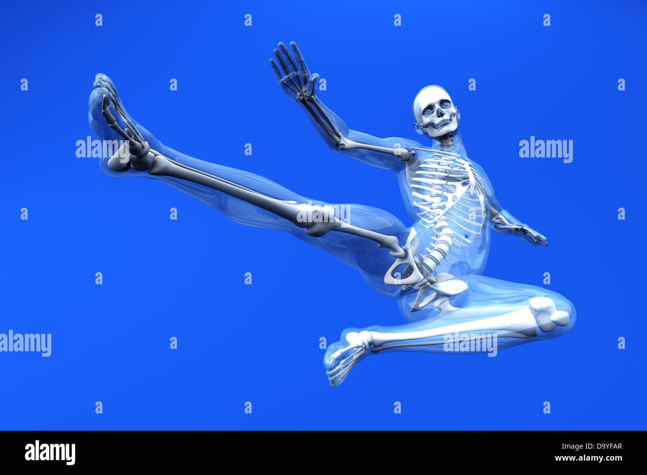 A medical visualisation of human anatomy. 3D rendered Illustration ...