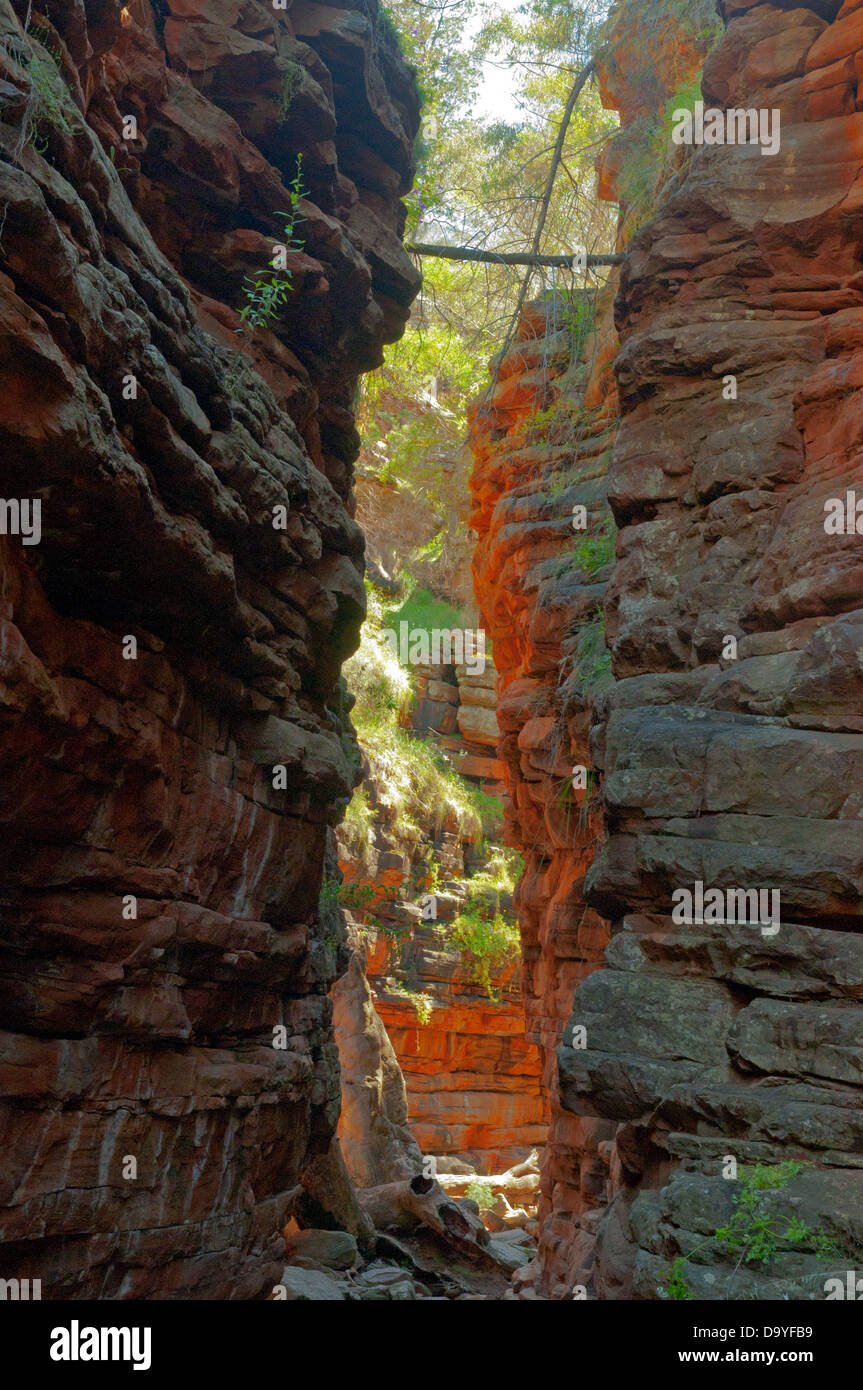 Alligator Gorge, Mt Remarkable NP, South Flinders Range Stock Photo - Alamy