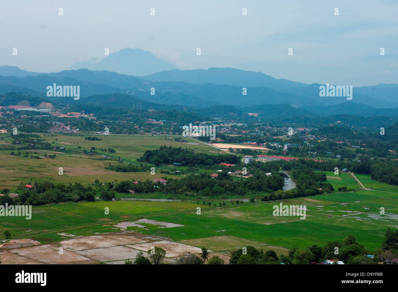 Aerial view of a field, Sabah State, Malaysia Stock Photo - Alamy
