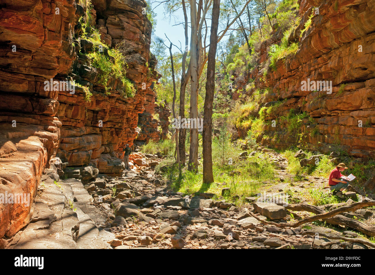 Alligator Gorge, Mt Remarkable NP, South Flinders Range Stock Photo - Alamy