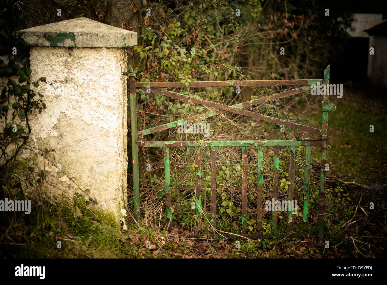 Old Gate in overgrown entrance Stock Photo - Alamy