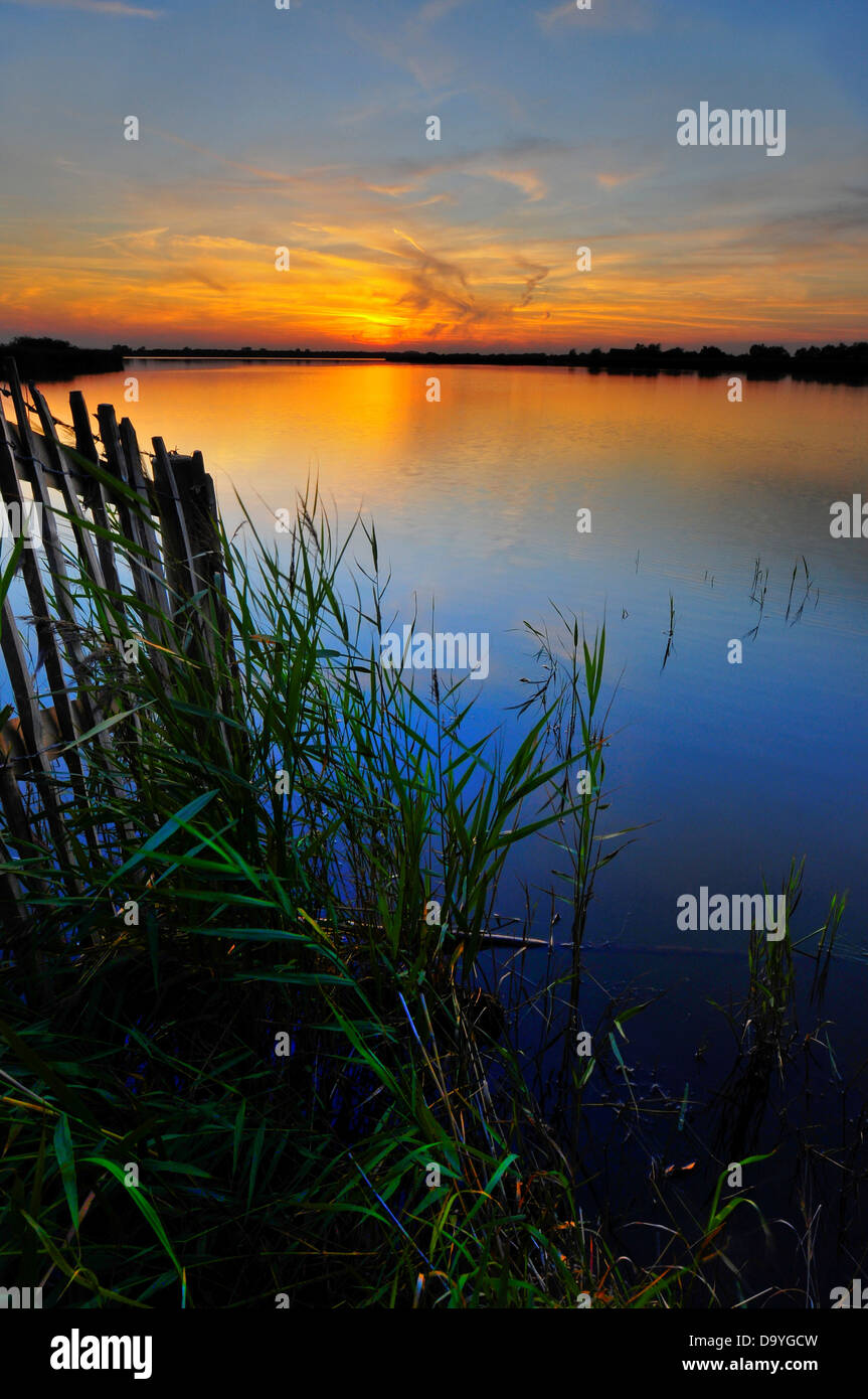 United Kingdom, England, Norfolk, Sunset at Horsey Mere Stock Photo - Alamy