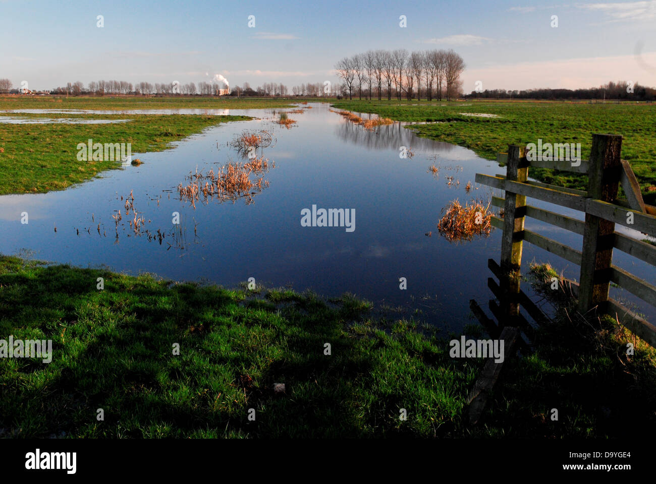 United Kingdom, England, Norfolk, Flooded Marshland Stock Photo - Alamy