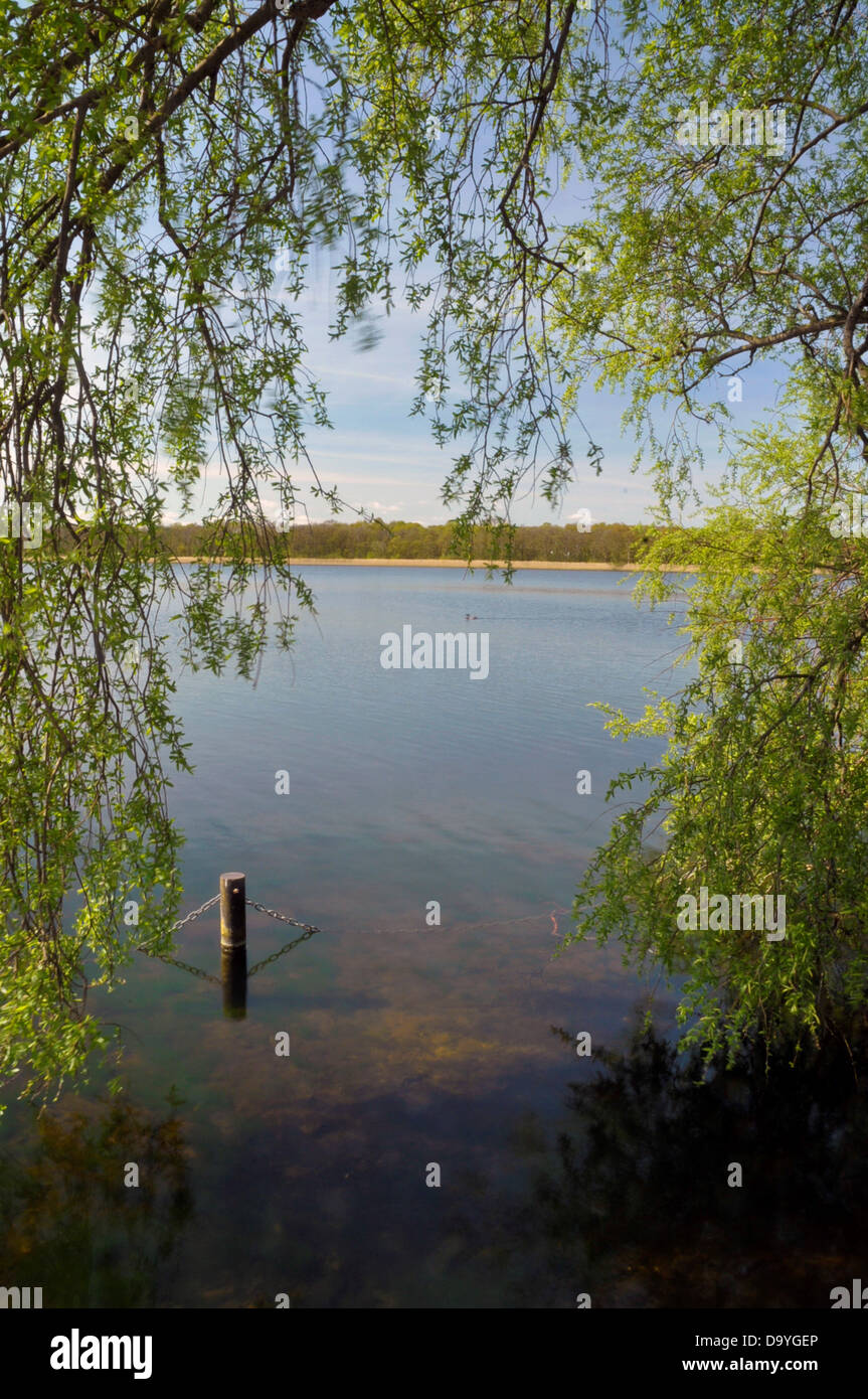 United Kingdom, England, Norfolk, Rollesby Broad Stock Photo - Alamy