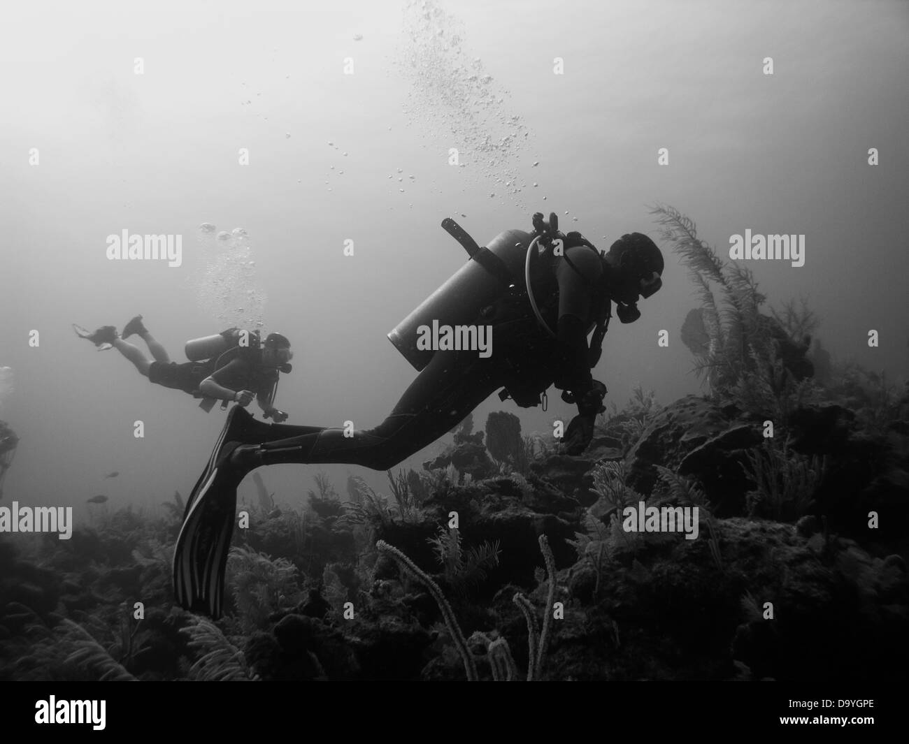 Scuba divers on underwater Black and White Stock Photos & Images - Alamy