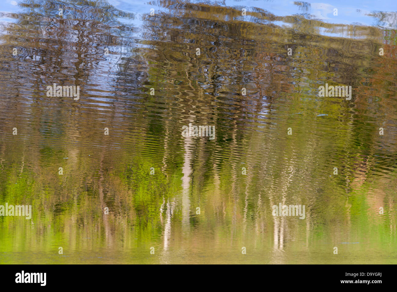 Abstract reflections of trees, bush in pond water Stock Photo - Alamy