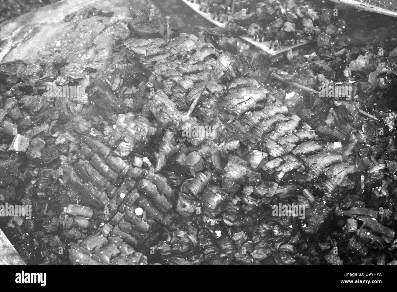 A pile of burnt wood charcoal smoking and smoldering after a building ...