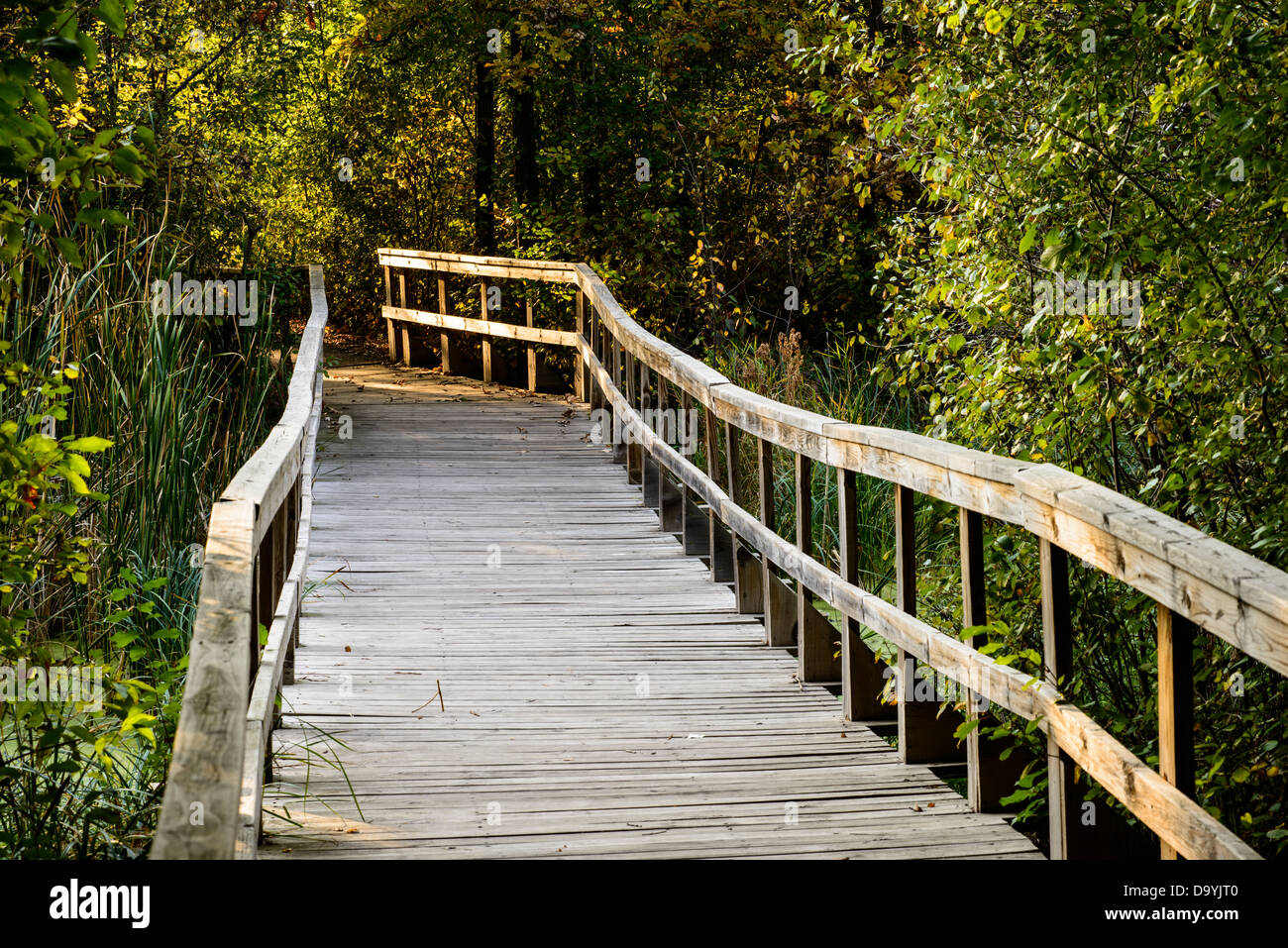 Trail through Springbrook Nature Center Stock Photo - Alamy
