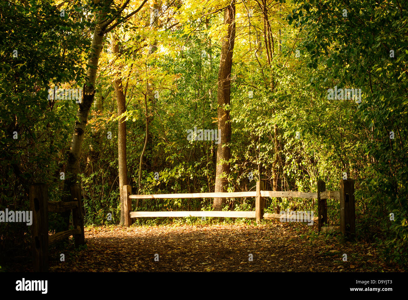 Trail through Springbrook Nature Center Stock Photo - Alamy