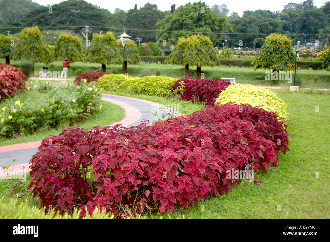 flaura and fauna from Malampuzha Dam garden in malampuzha,palakad ...