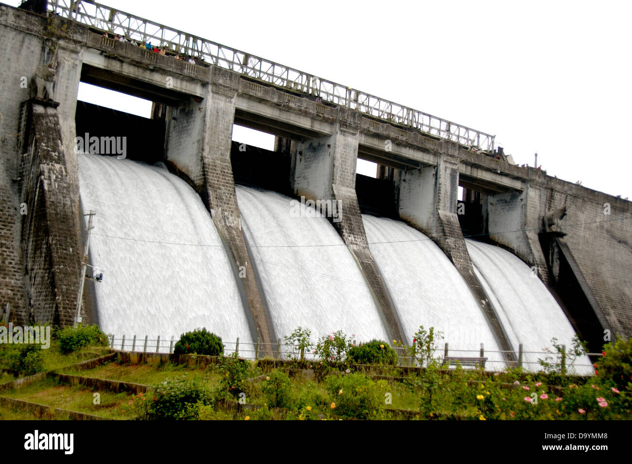 Irrigation kerala hi-res stock photography and images - Alamy