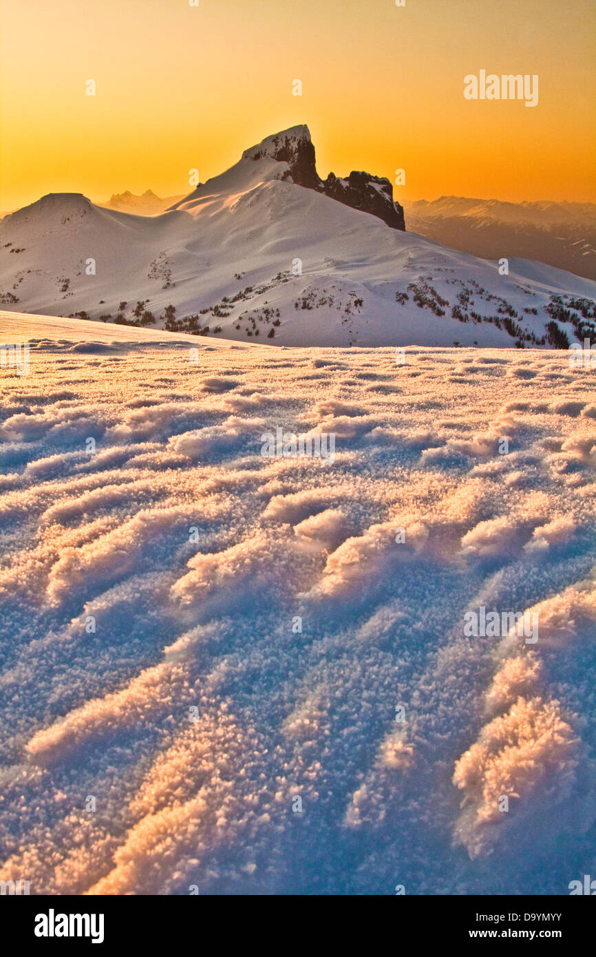 Black tursk hi-res stock photography and images - Alamy