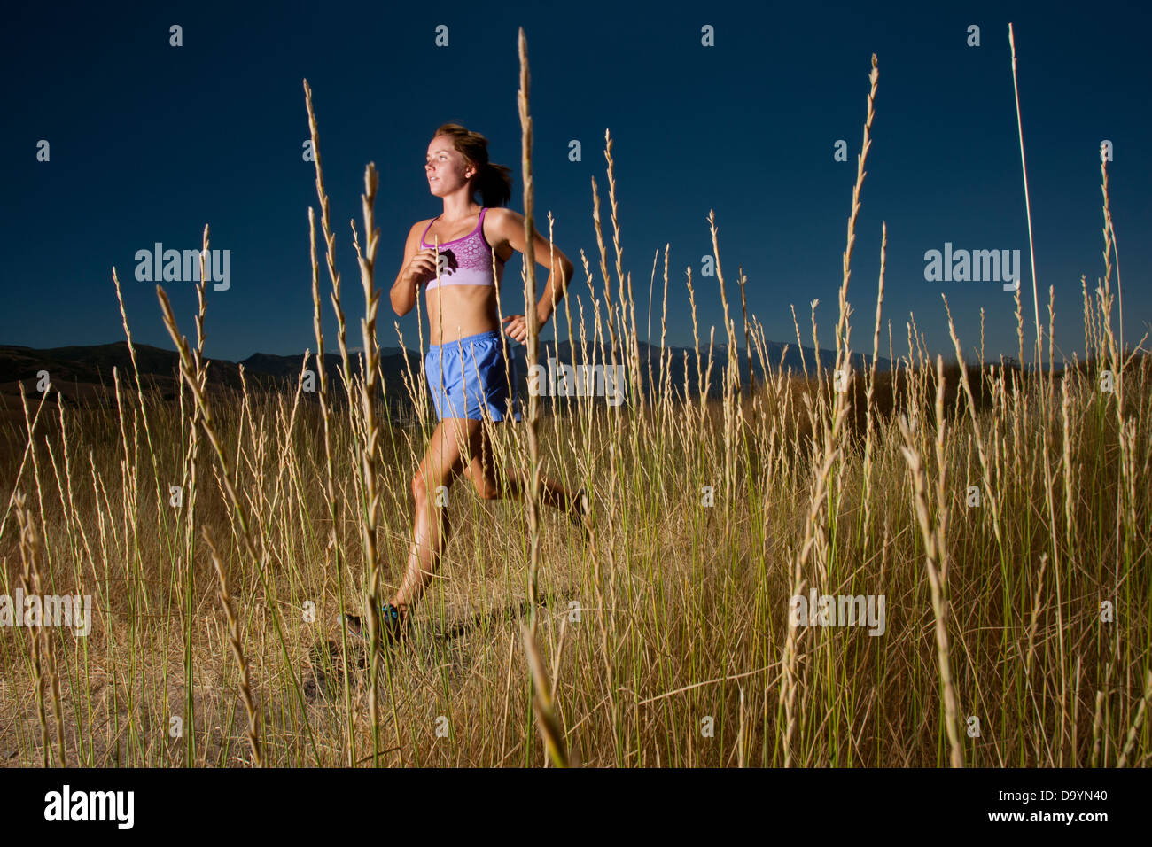Women trail running Stock Photo - Alamy