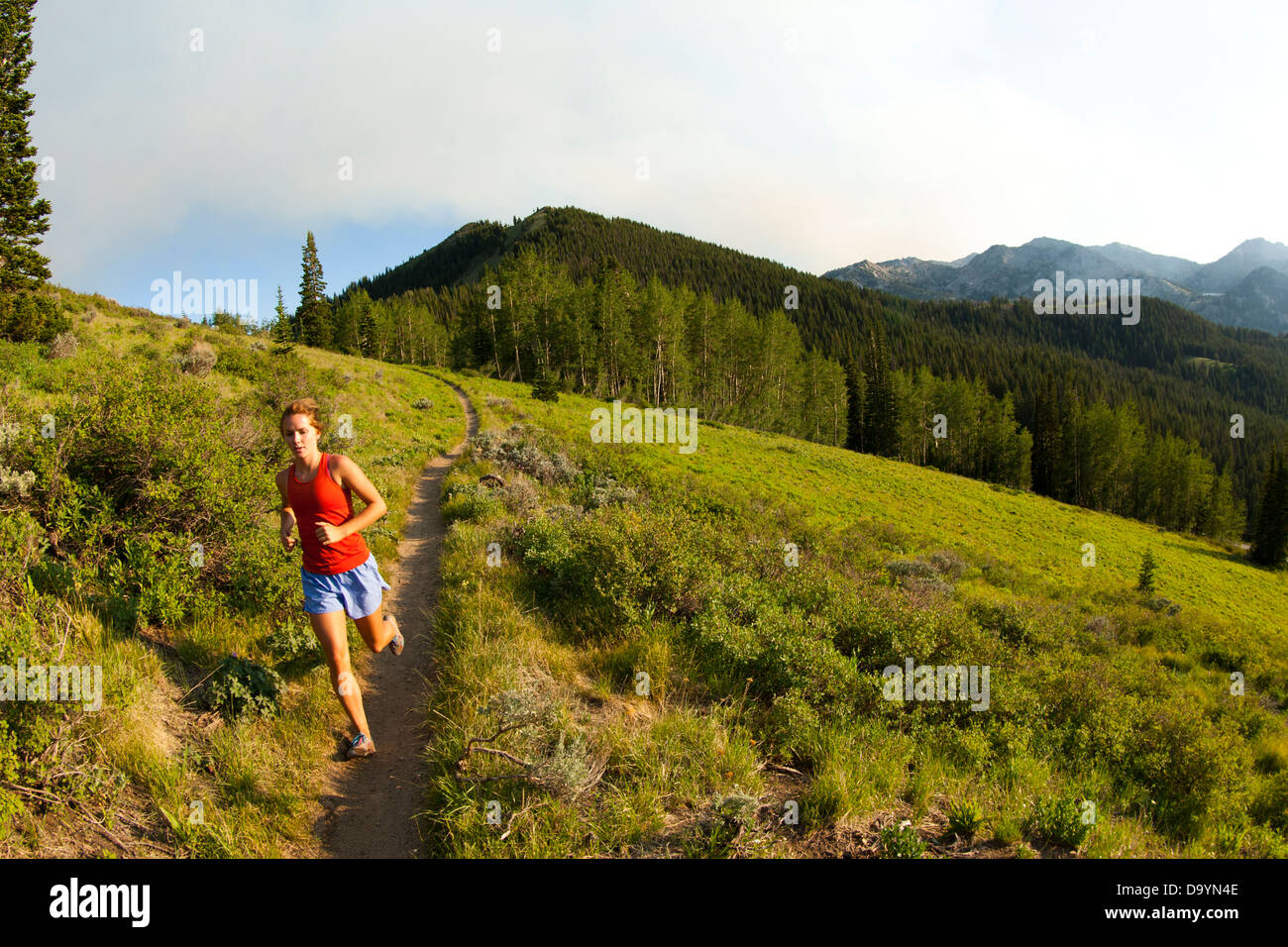 Women trail running Stock Photo - Alamy