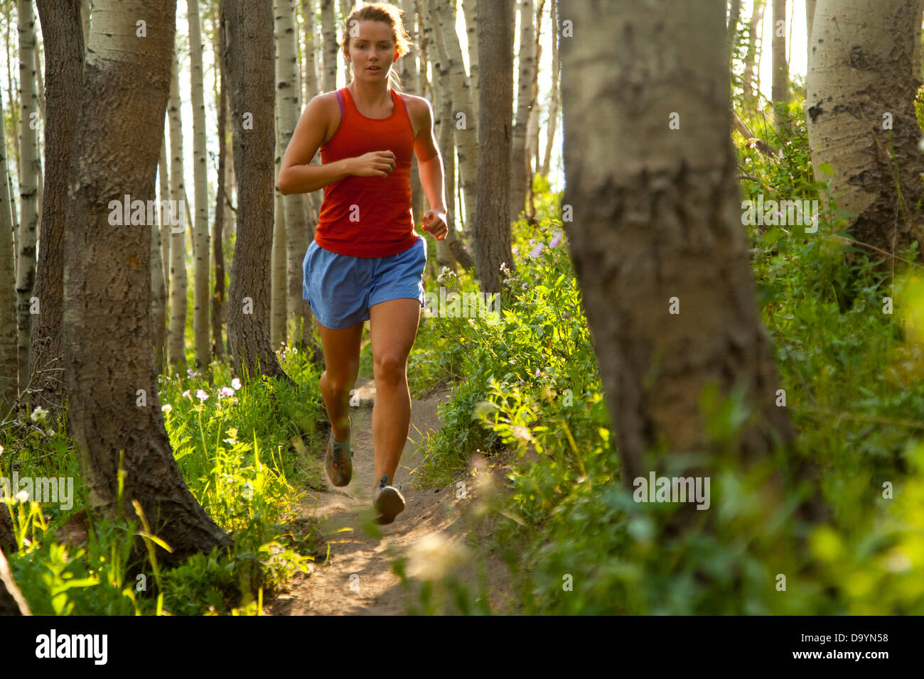 Women trail running Stock Photo - Alamy