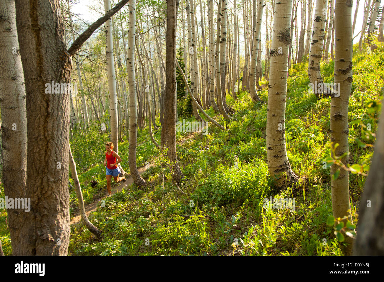 Women trail running Stock Photo - Alamy