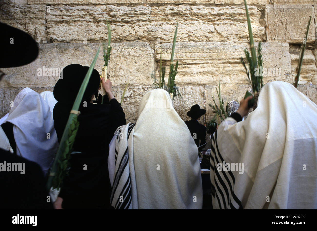 Orthodox Jews hold ceremonial palm fronds and willows on the Sukkot ...