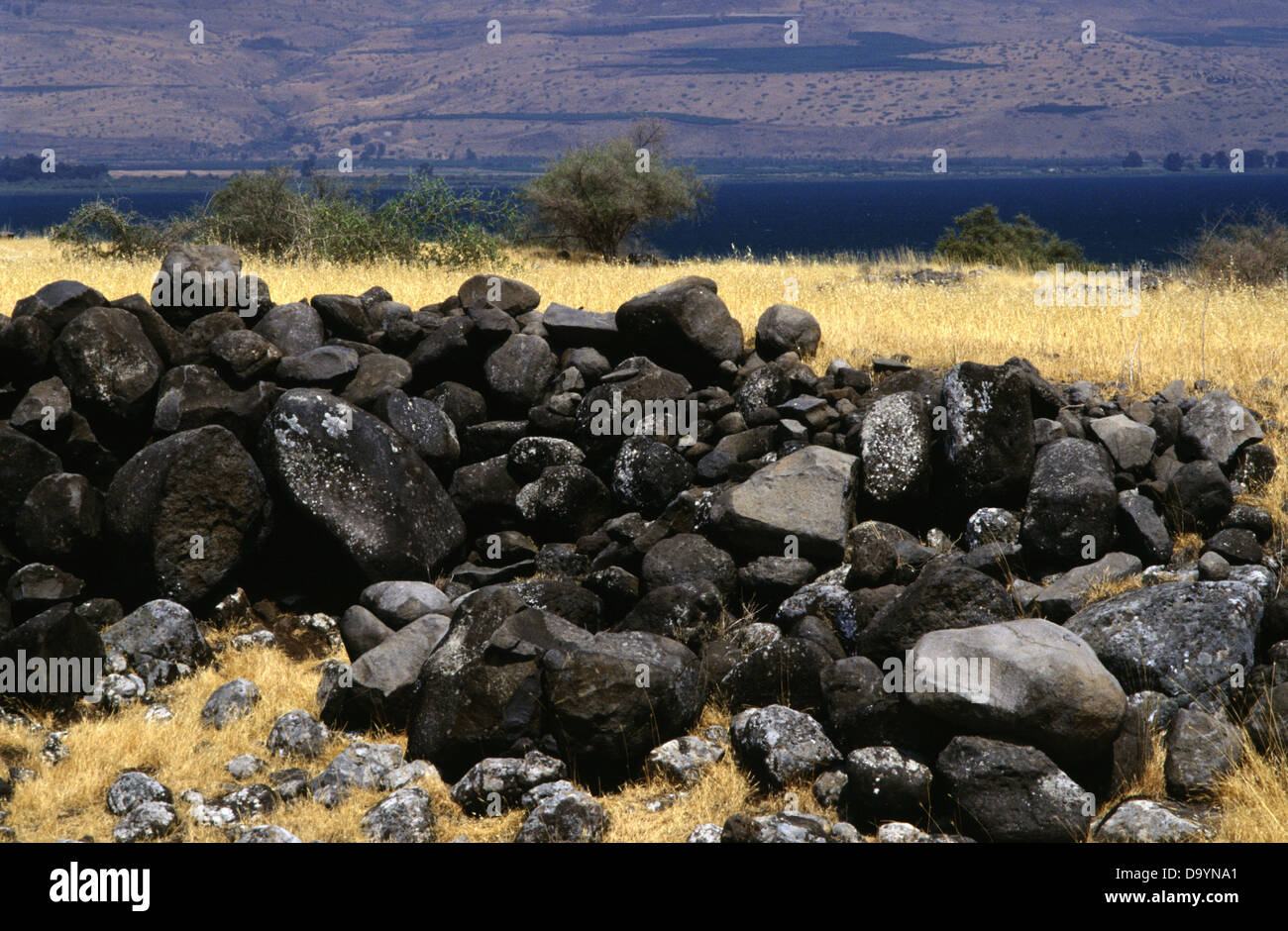 Pile of volcanic basalt stones at the western shore of the Sea of ...