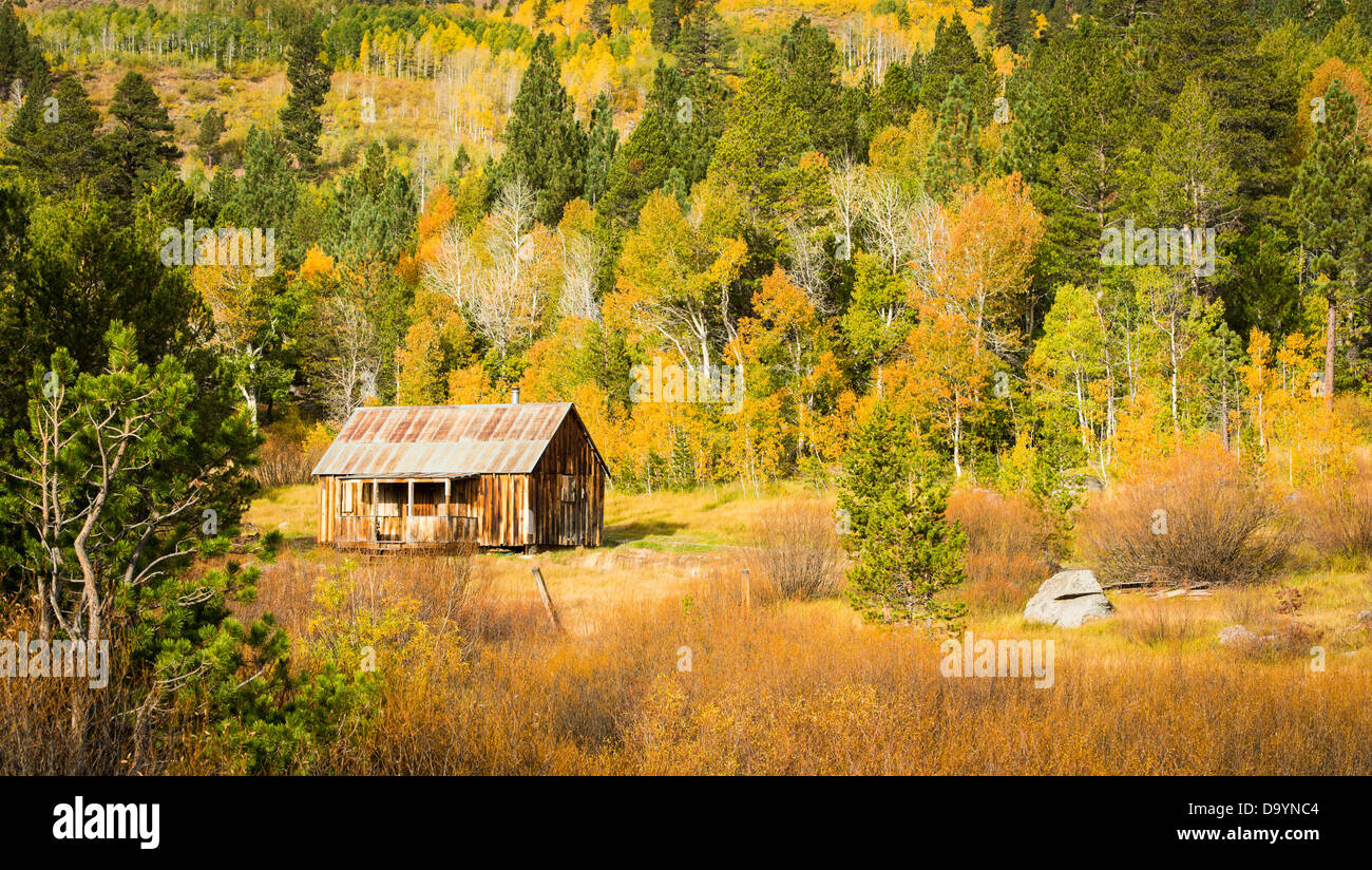 Old cabin and fall colors, Hope Valley, California Stock Photo - Alamy