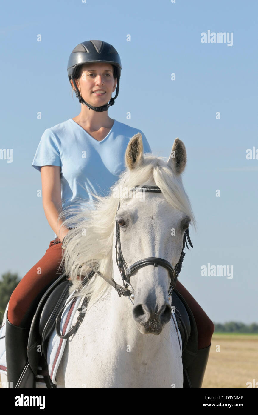 Rider on german riding pony hi-res stock photography and images - Alamy