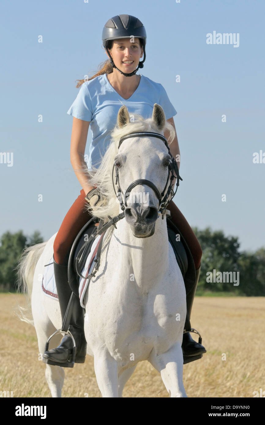 Young rider on a white German Pony riding in a stubble field Stock ...