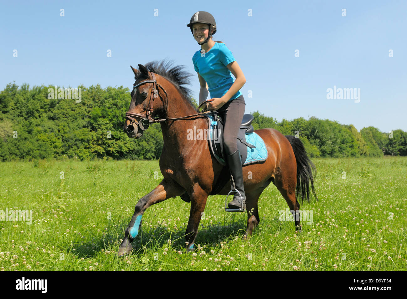 Riding girl teenager pony gallop hi-res stock photography and images ...