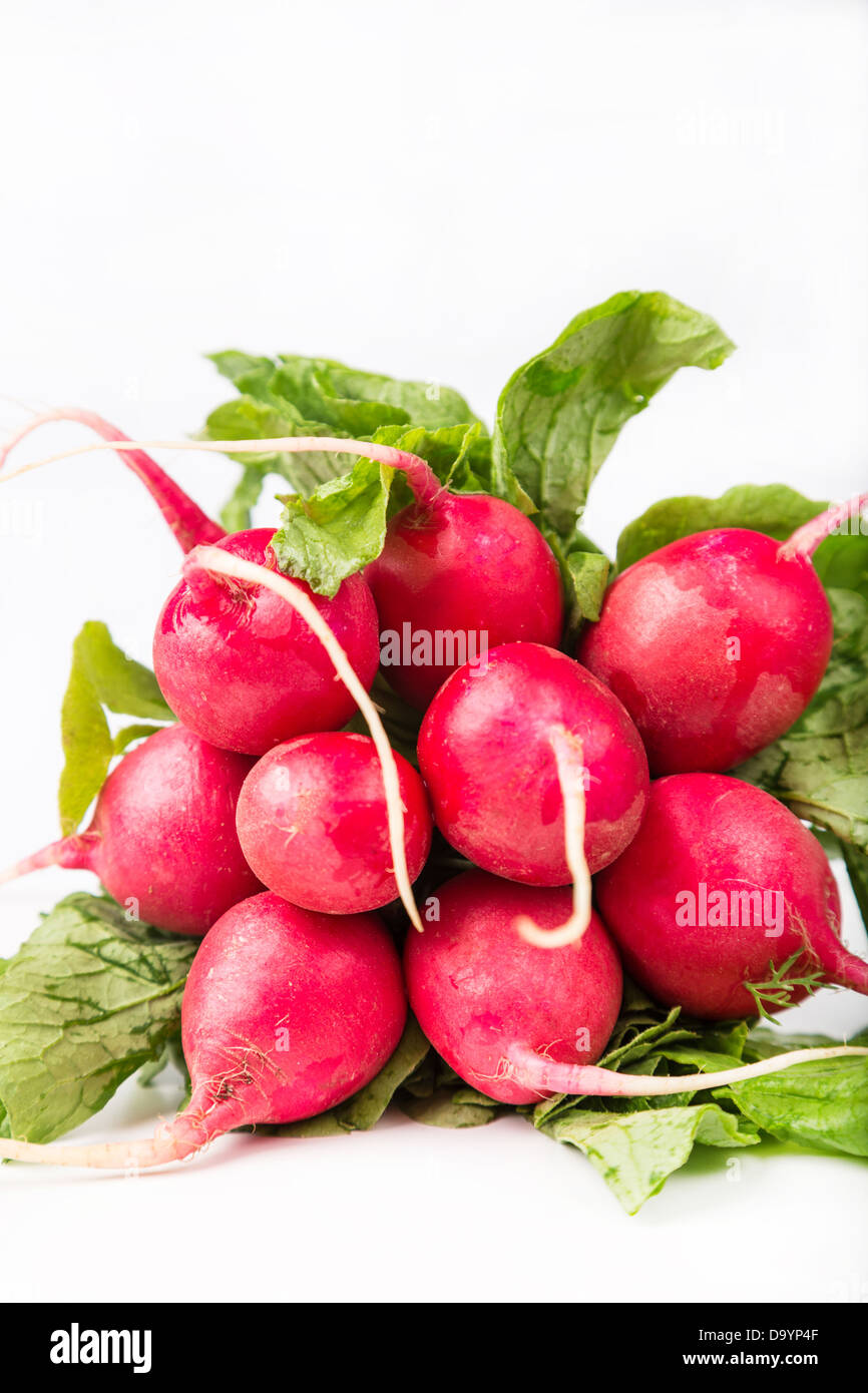 Red radish bunch hi-res stock photography and images - Alamy