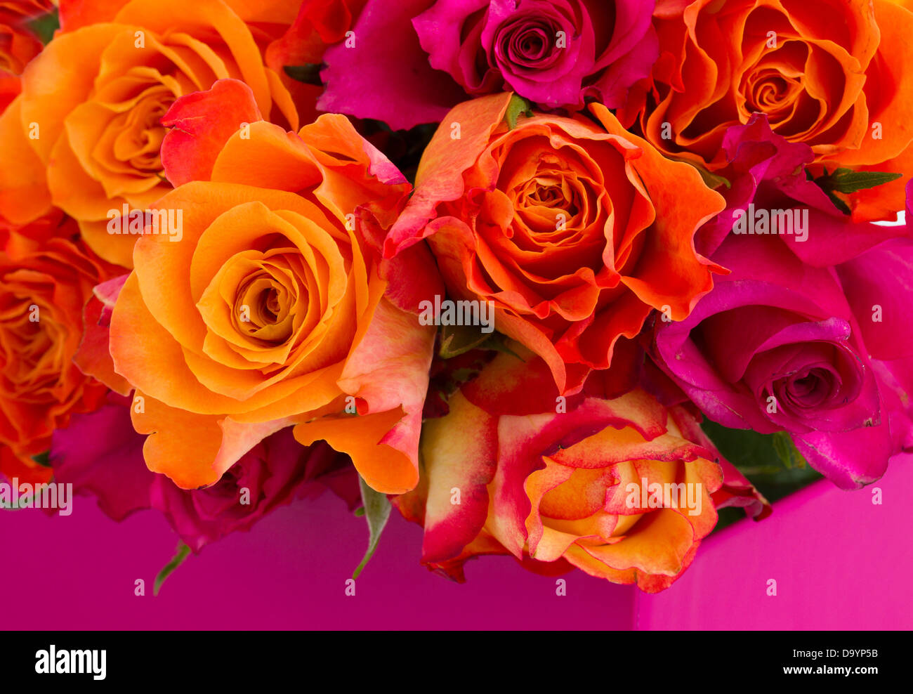 rose bouquet close up Stock Photo - Alamy