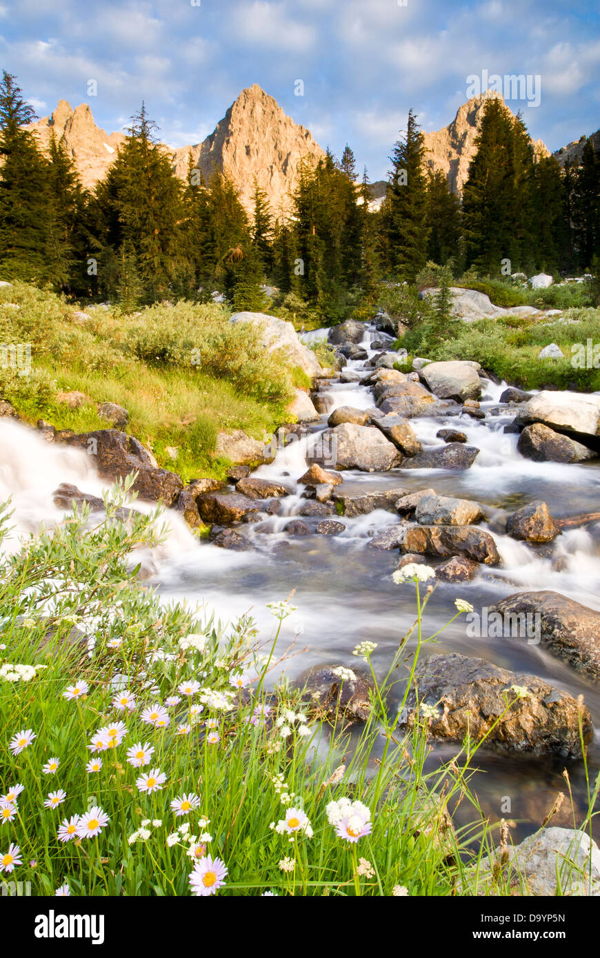 Spring flowers and flowing water below Mount Ritter and Banner, Ansel ...