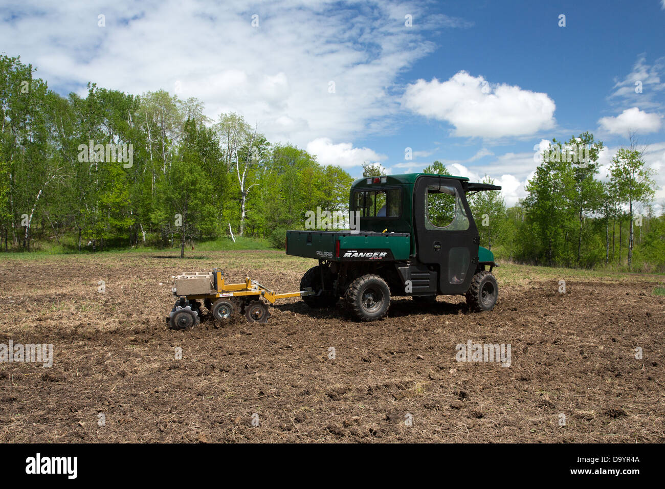 Creating a food plot for wildlife Stock Photo - Alamy