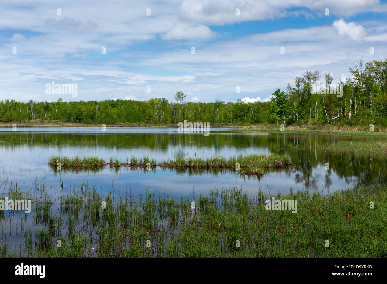 Northern wilderness hi-res stock photography and images - Alamy