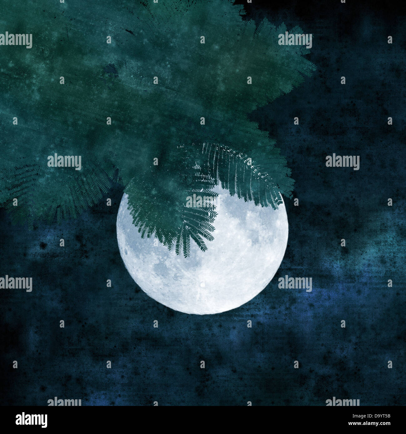 full moon collage with paper texture, acacia branch Stock Photo - Alamy