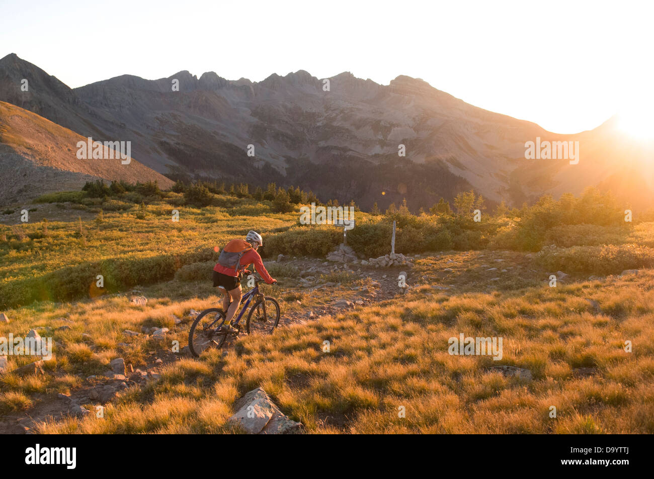 A woman mountain biking along the Colorado Trail, La Plata Mountains ...