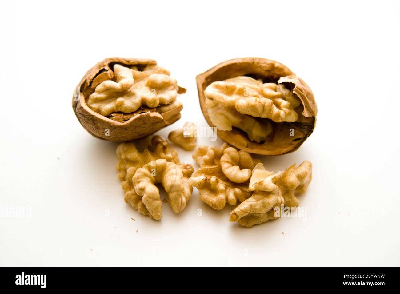Walnut core with nutshell Stock Photo - Alamy